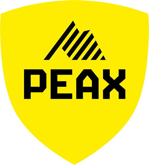 PEAX. Der digitale Briefkasten Software von PEAX AG auf topsoft